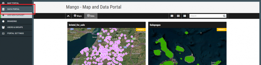 Allowing users to download datasets – Mango Help Centre